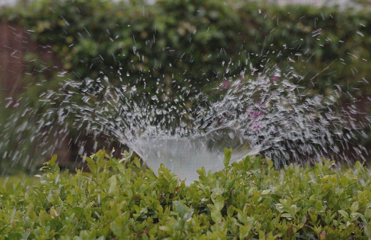 ⊛ Los 6 Mejores Aspersor Con Botellas De Plásticos | (2025)
