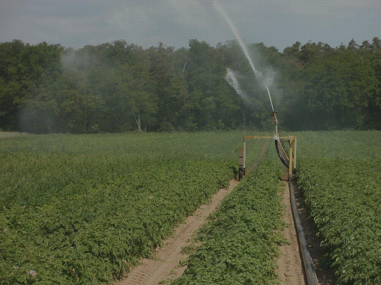 ⊛ Los 6 Mejores Aspersor Con Botellas De Plásticos | (2025)