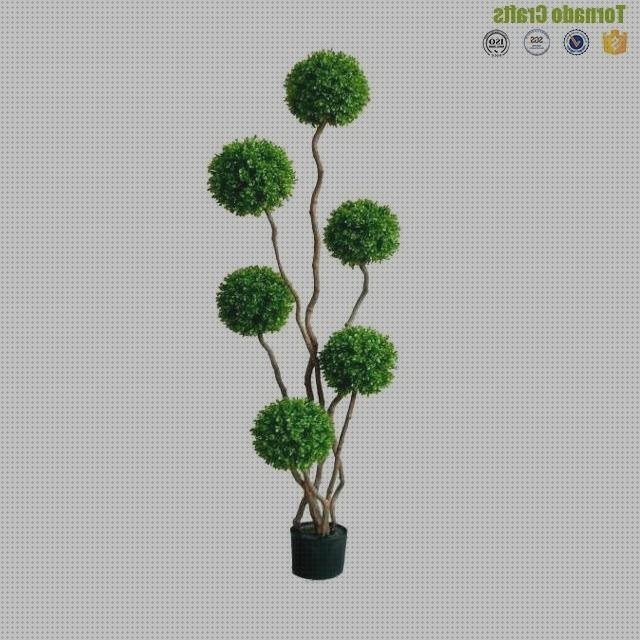 Los 3 Mejores Bojes De Plásticos 30cm Baratos 【Y】