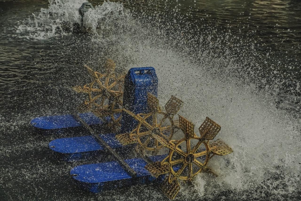 Los 16 Mejores Estanque De Plastico 200 Litros 【Y】