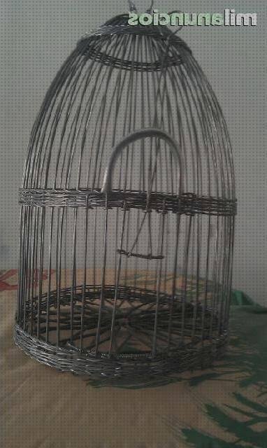 Las 9 Mejores Jaulas De Perdiz De Alambres De Plastico | (2023)