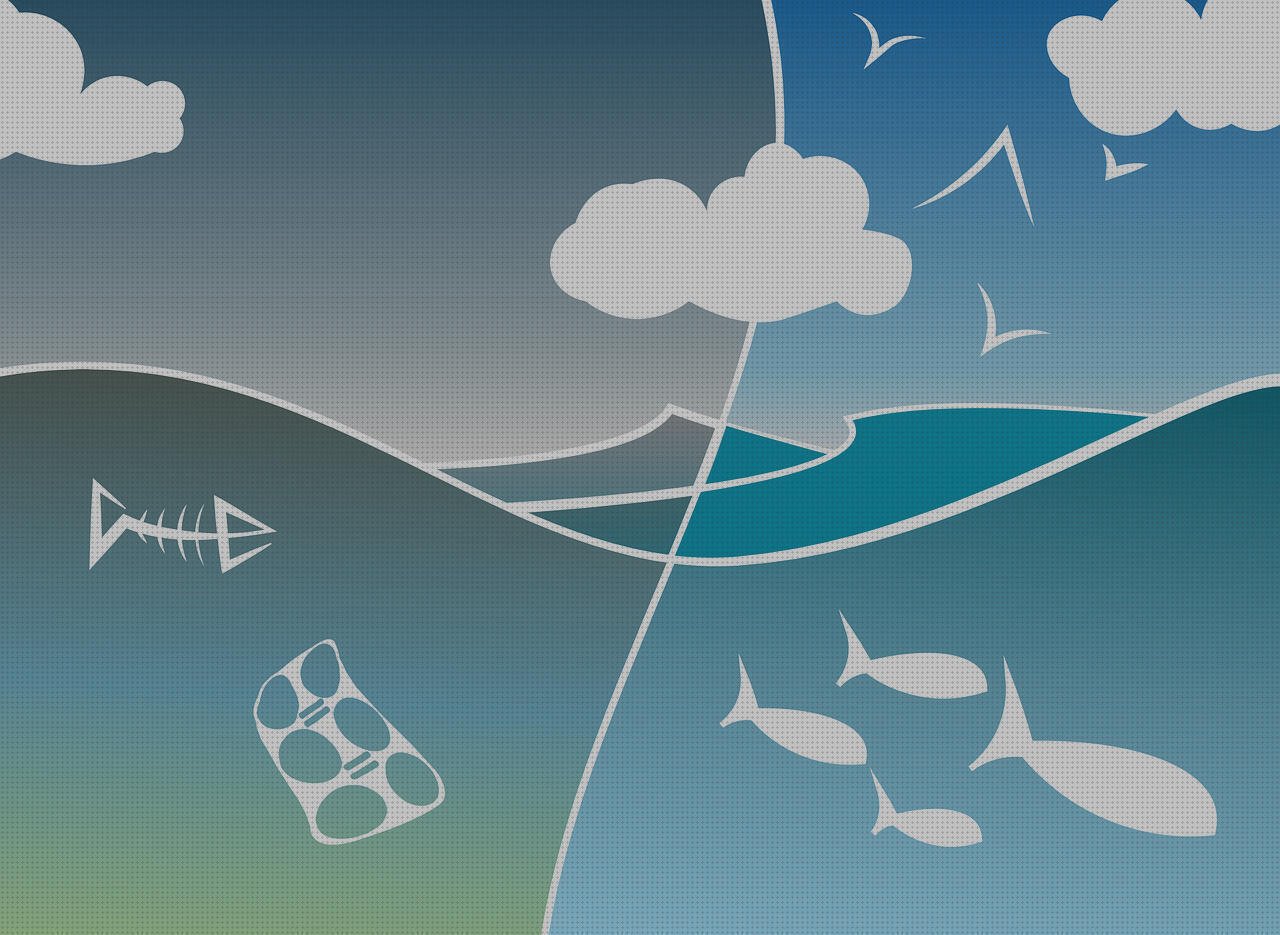 Los 4 Mejores Plasticos Naturales : [mes] 2025